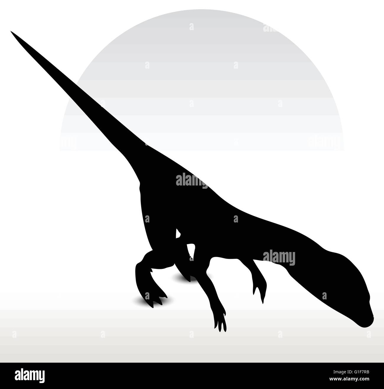 Vector Image - dinosaurs dilophosaurus isolated on white background Stock Vector Image & Art - Alamy