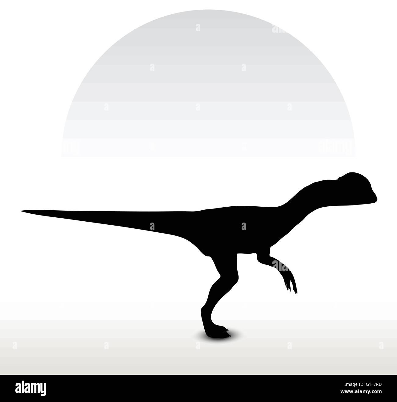 Vector Image - dinosaurs dilophosaurus isolated on white background Stock Vector Image & Art - Alamy