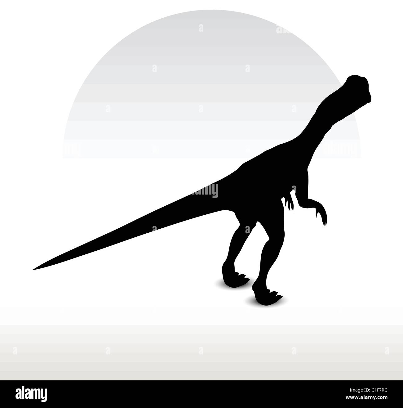 Vector Image - dinosaurs dilophosaurus isolated on white background Stock Vector Image & Art - Alamy