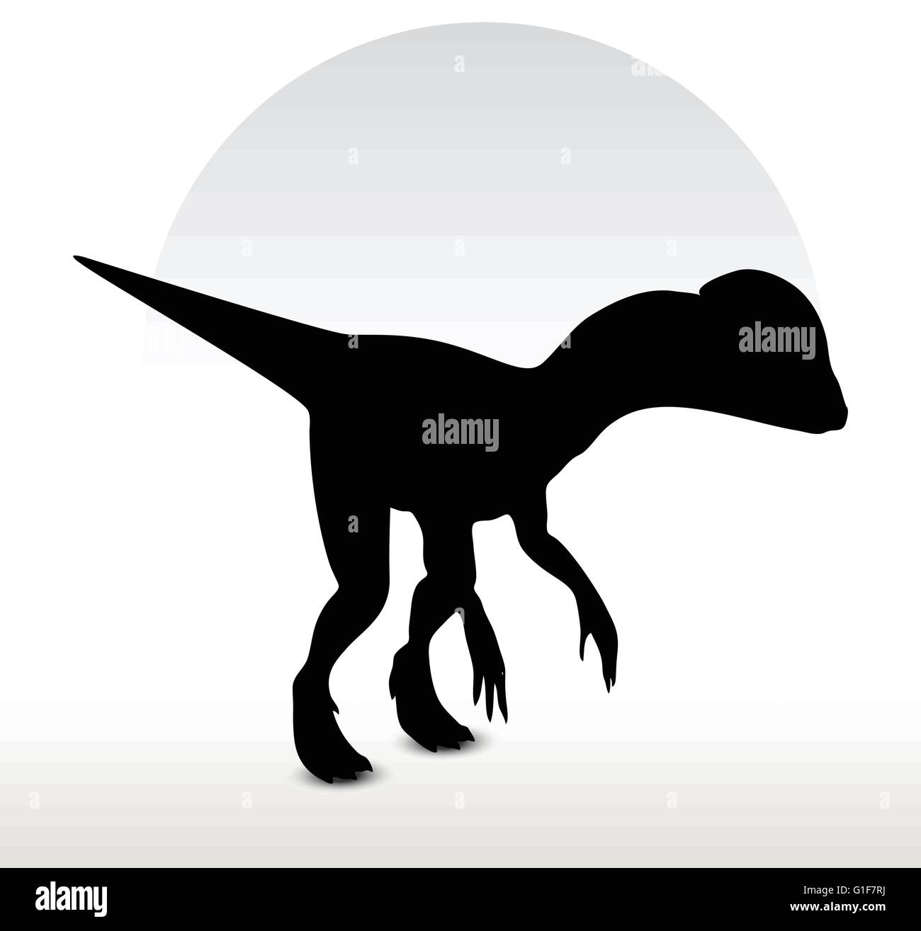 Vector Image - dinosaurs dilophosaurus isolated on white background Stock Vector Image & Art - Alamy