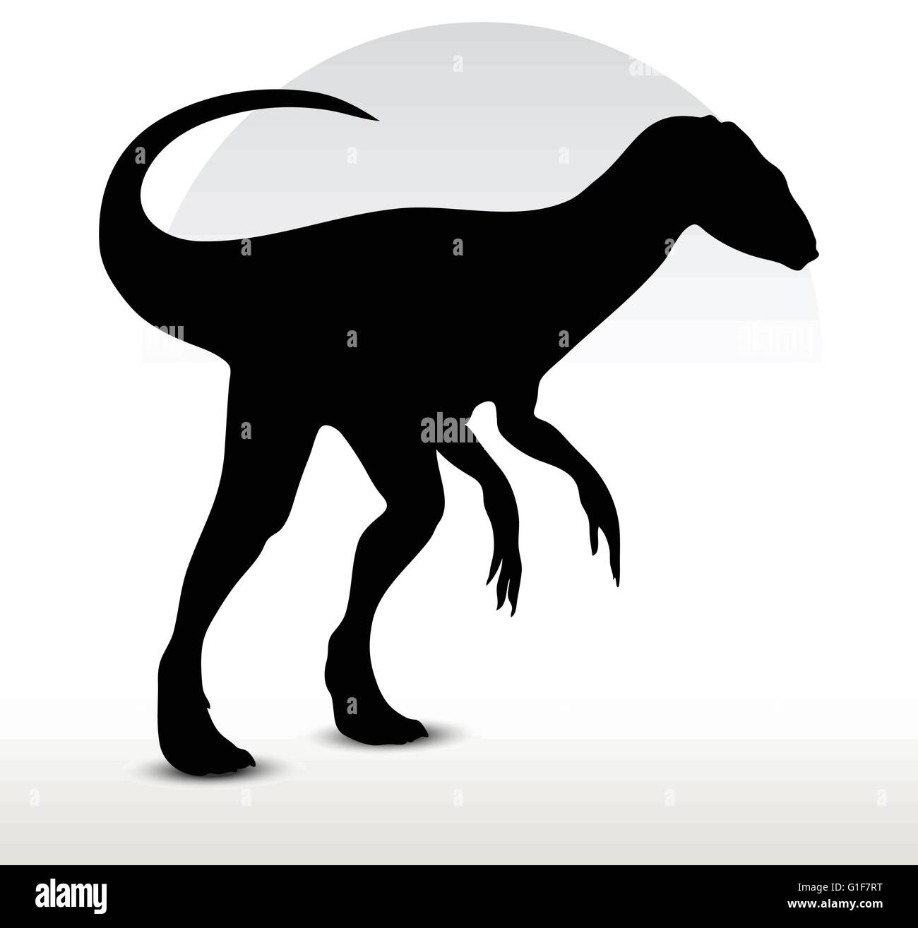 Vector Image - dinosaurs dilophosaurus isolated on white background Stock Vector Image & Art - Alamy