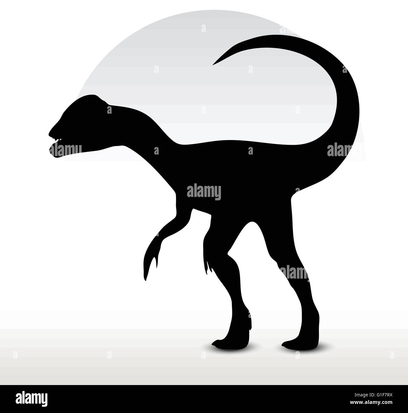 Vector Image - dinosaurs dilophosaurus isolated on white background Stock Vector Image & Art - Alamy