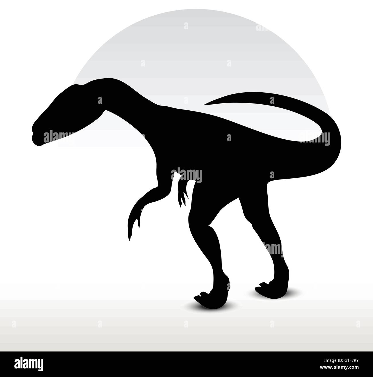 Vector Image - dinosaurs dilophosaurus isolated on white background Stock Vector Image & Art - Alamy