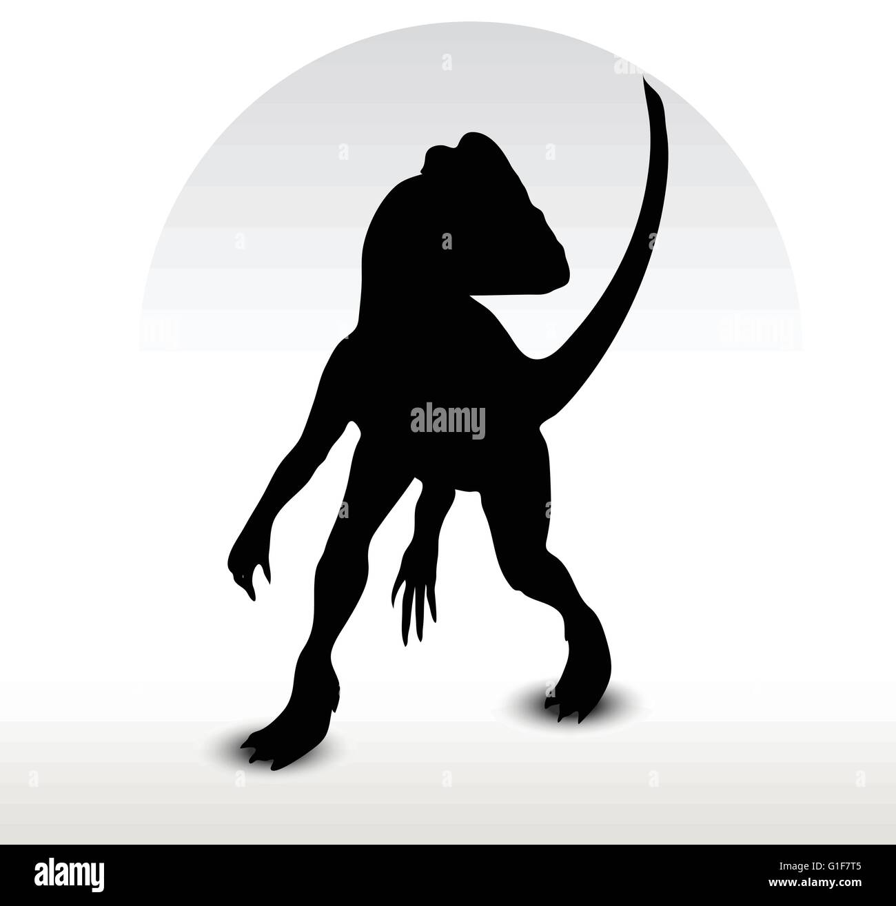 Vector Image - dinosaurs dilophosaurus isolated on white background Stock Vector Image & Art - Alamy