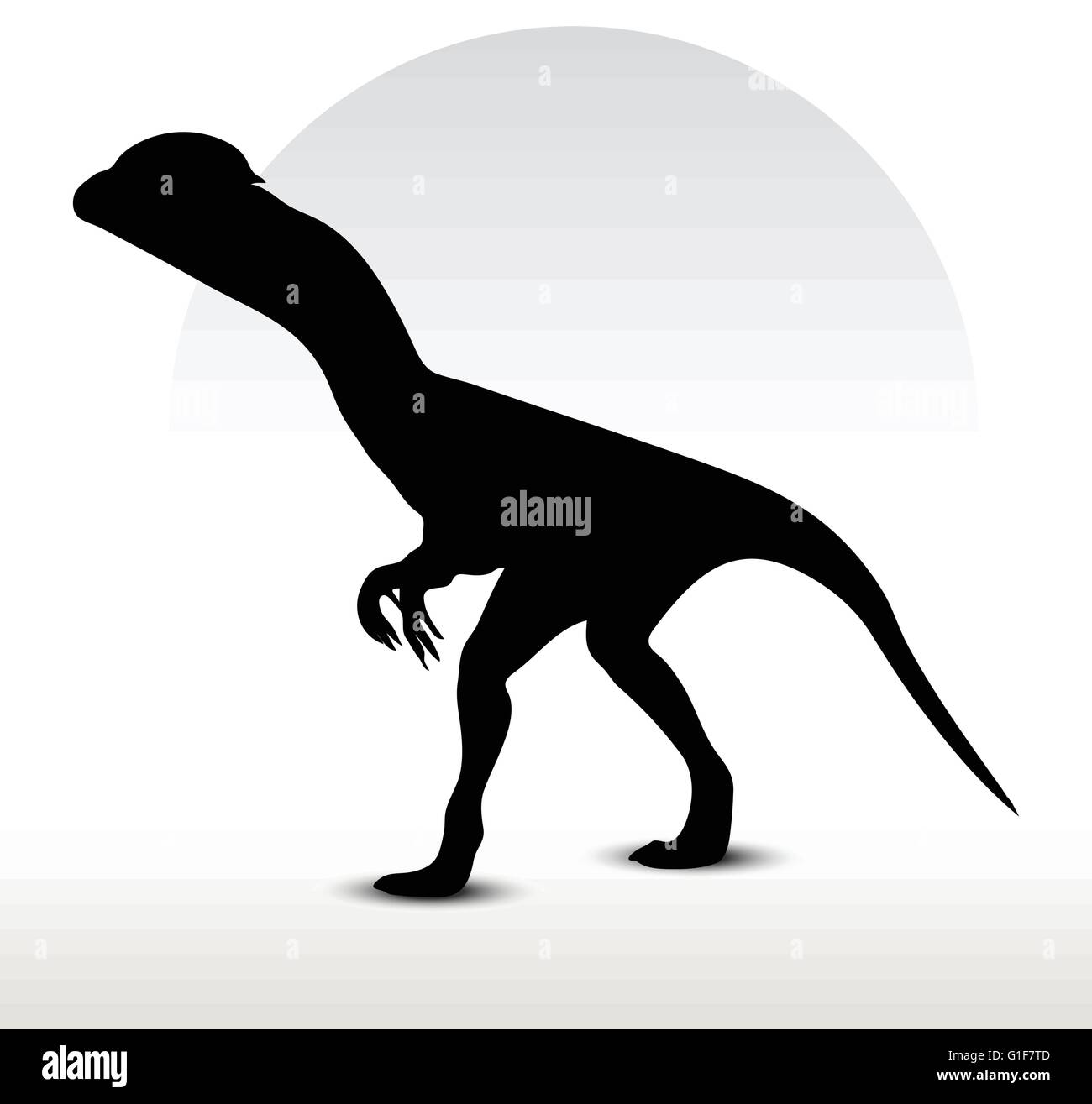 Vector Image - dinosaurs dilophosaurus isolated on white background Stock Vector Image & Art - Alamy