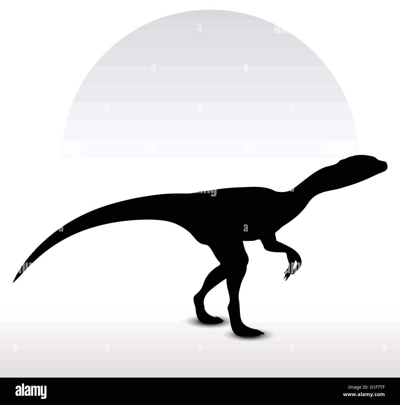 Vector Image - dinosaurs dilophosaurus isolated on white background Stock Vector Image & Art - Alamy