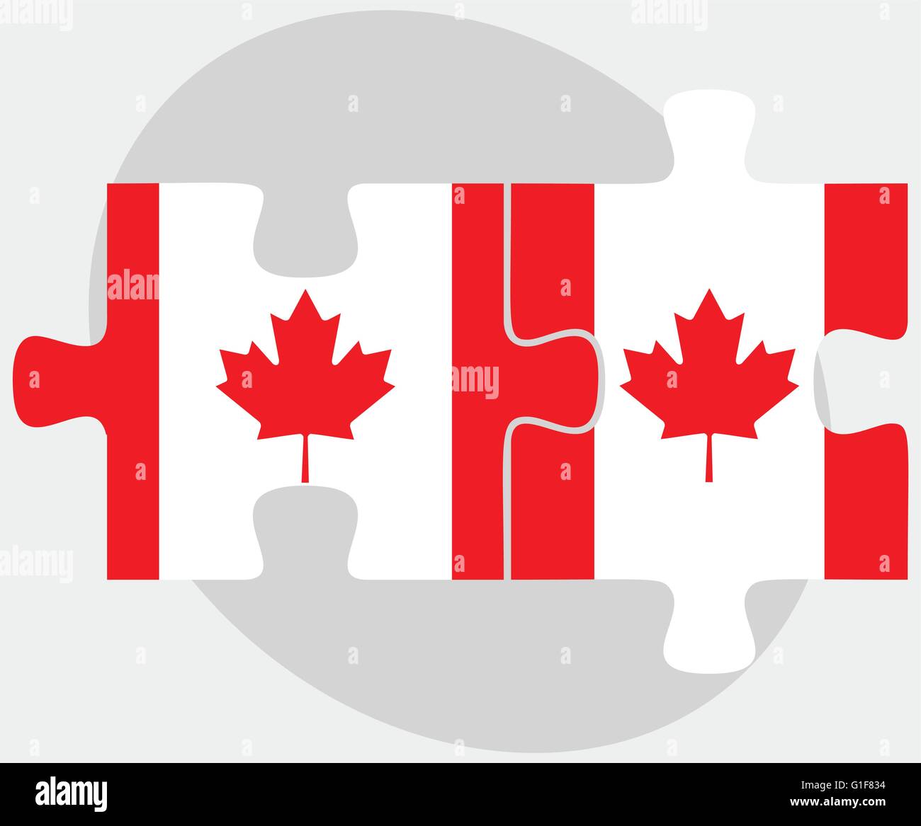 Vector Image - Canada and Canada Flags in puzzle isolated on white ...