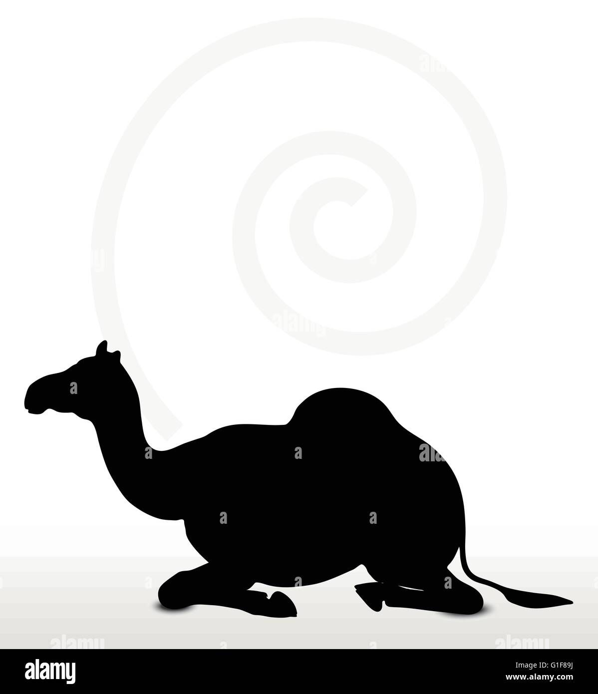 Vector Image - camel in Sitting pose isolated on white background Stock ...