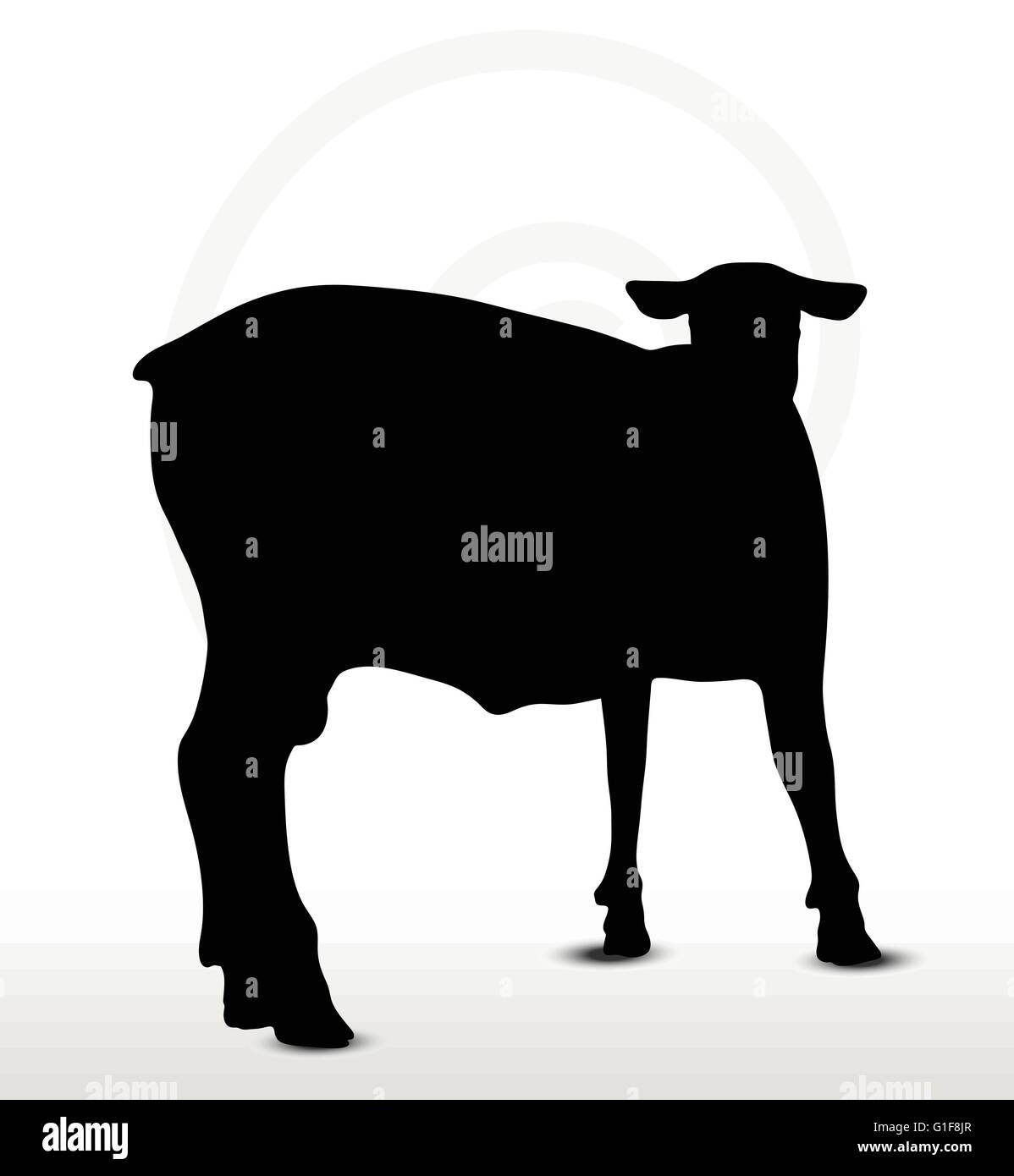 Vector Image - sheep silhouette with standing still pose isolated on ...