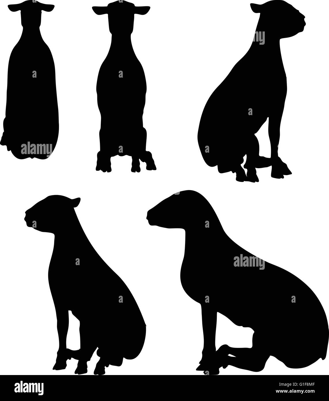 Vector Image - sheep silhouette with sitting pose isolated on white ...
