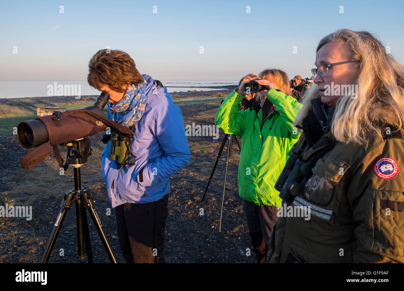Bird watching telescope hi-res stock photography and images - Alamy