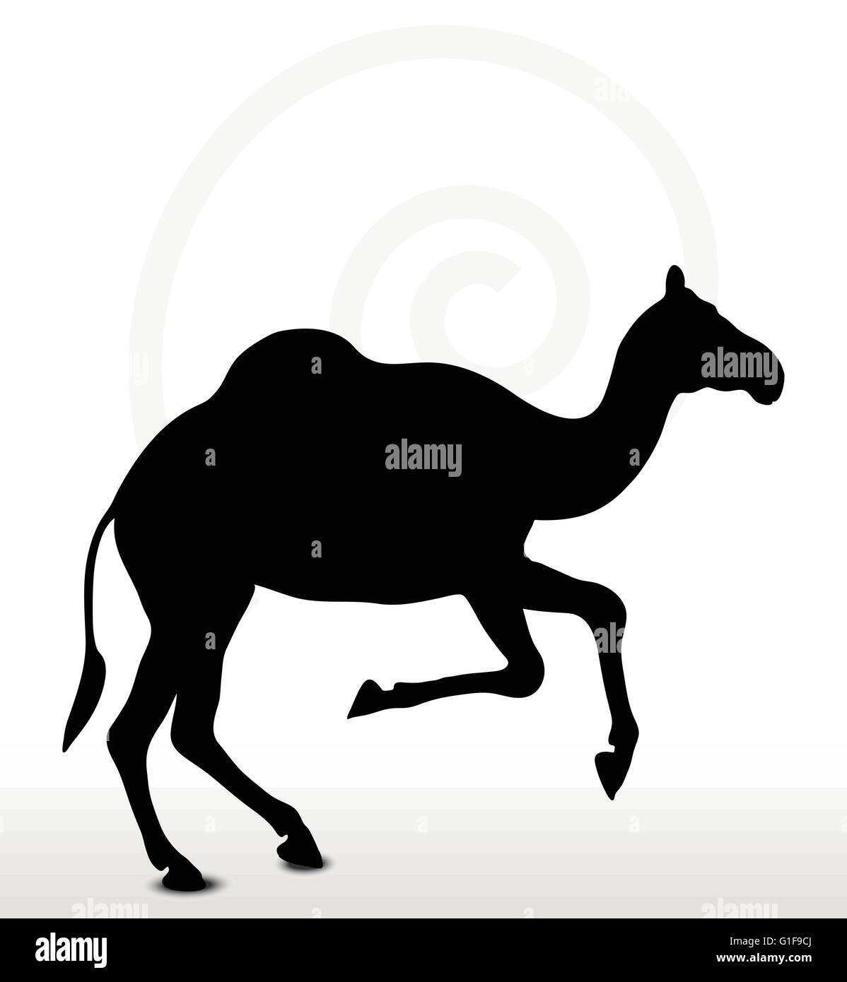 Vector Image - camel in Running pose isolated on white background Stock ...