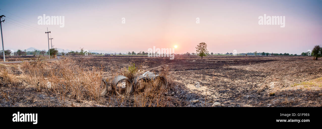 these fields are burned before the next planting with sunset Stock ...