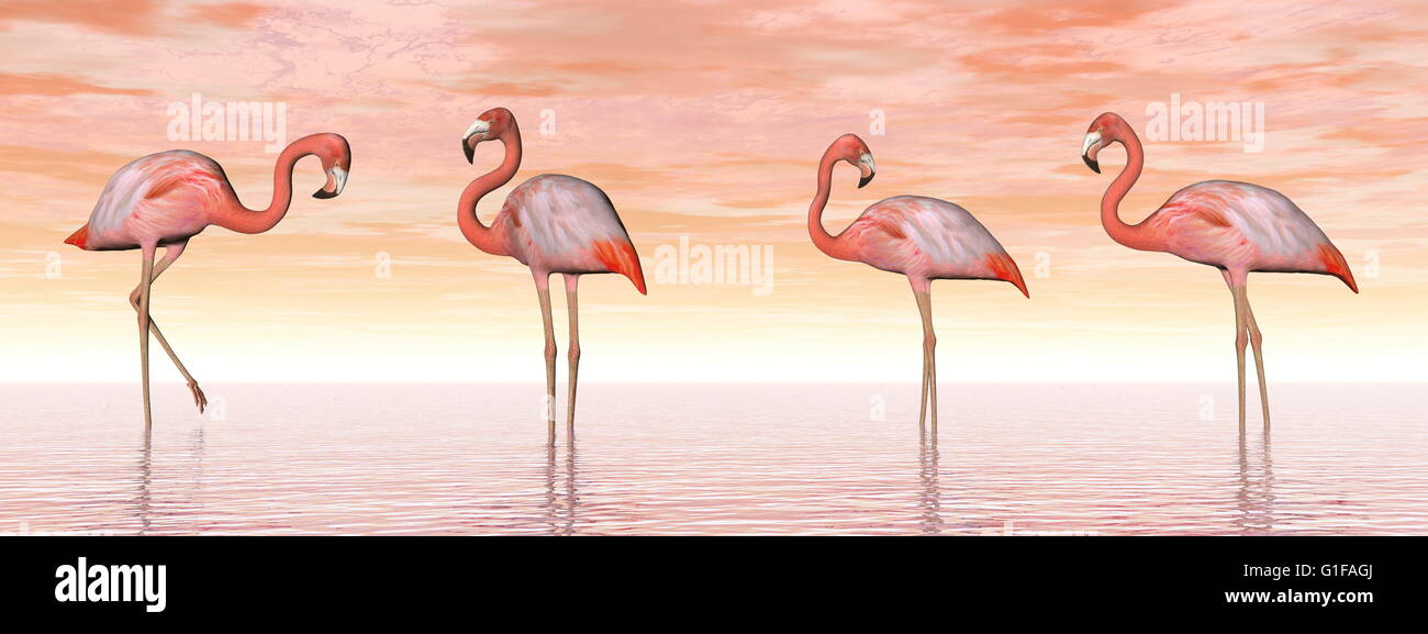 Four pink flamingos hi-res stock photography and images - Alamy