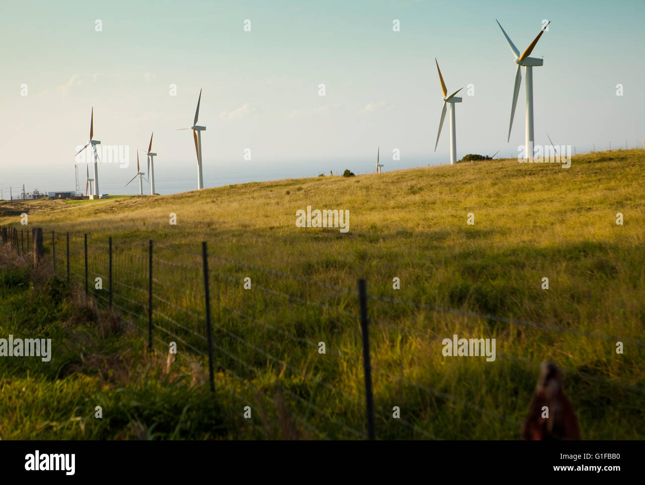 Big Island, North Kohala, Upolu Point, Wind Farm Stock Photo - Alamy