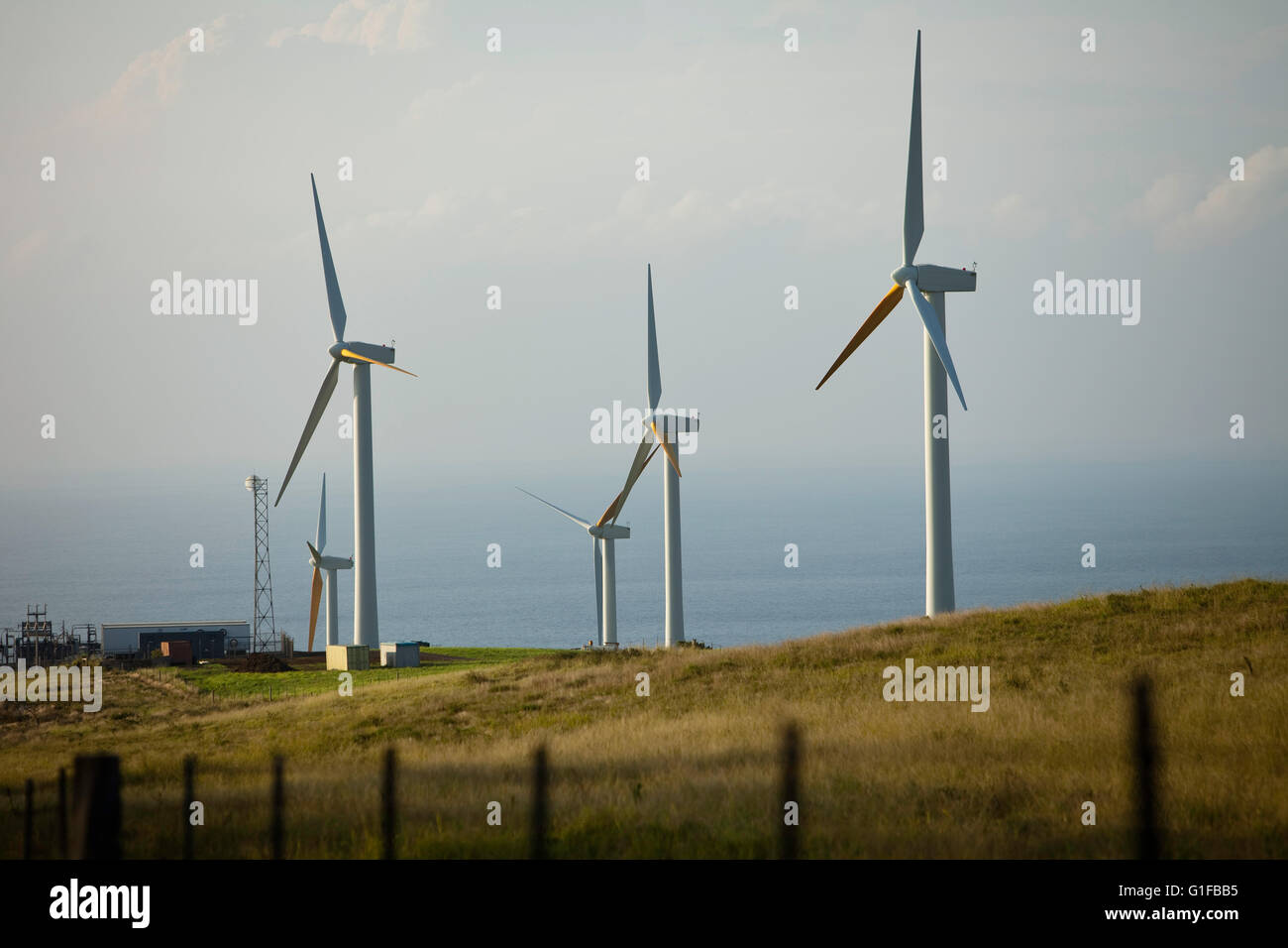 Big Island, North Kohala, Upolu Point, Wind Farm Stock Photo - Alamy