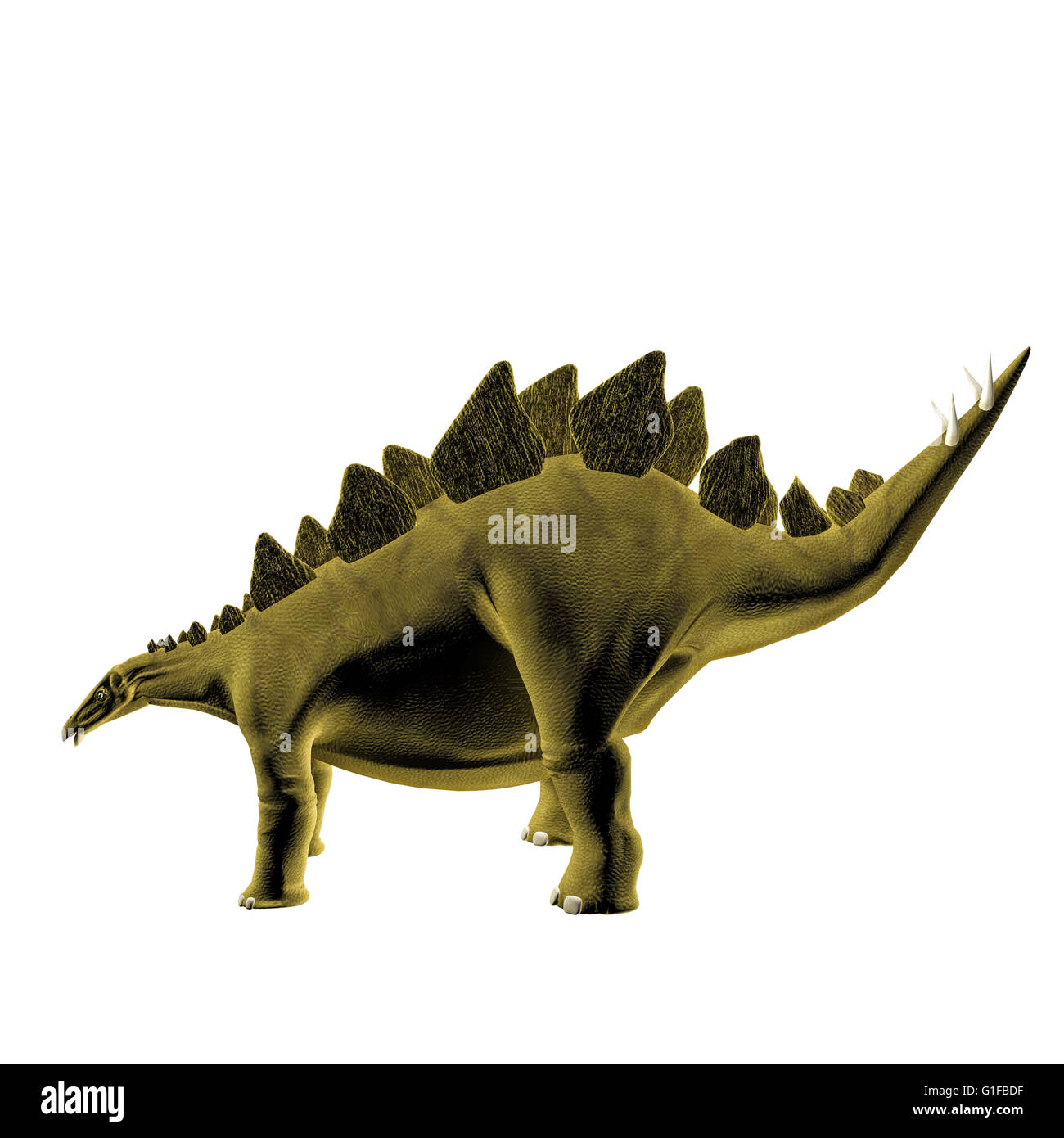 Stegosaurus dinosaur illustration hi-res stock photography and images ...
