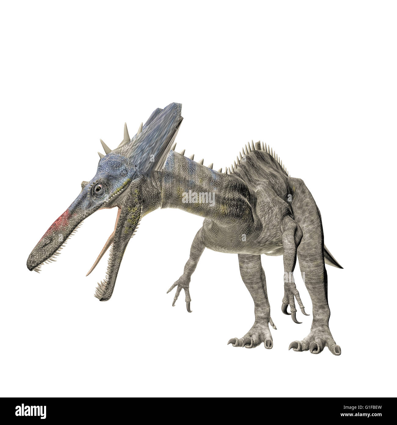 Suchomimus hi-res stock photography and images - Alamy