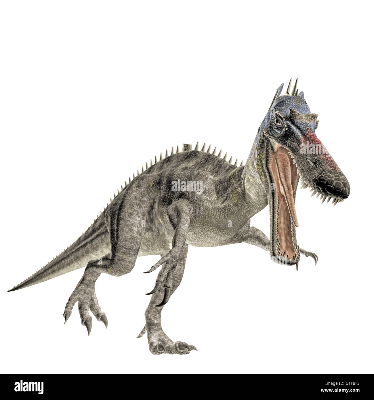 Suchomimus Cut Out Stock Images & Pictures - Alamy