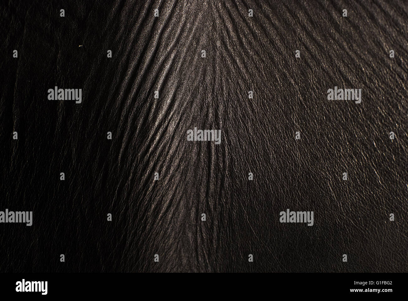 Seamless texture leather upholstery sofa hi-res stock photography and ...