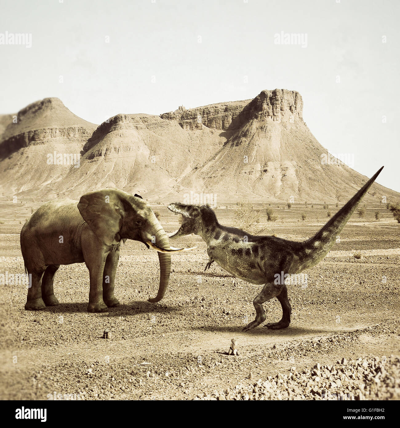 T-rex fighting versus a big elephant in the desert Stock Photo - Alamy