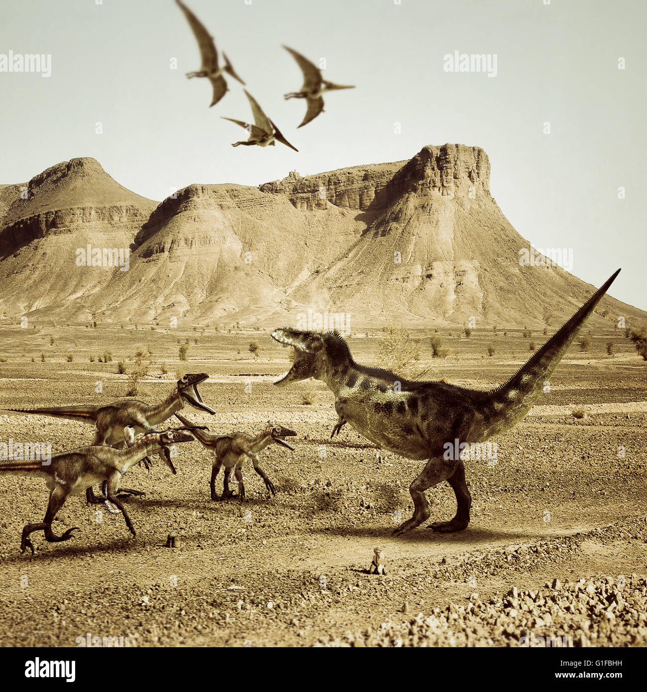 T-rex versus raptors fighting in the desert Stock Photo - Alamy