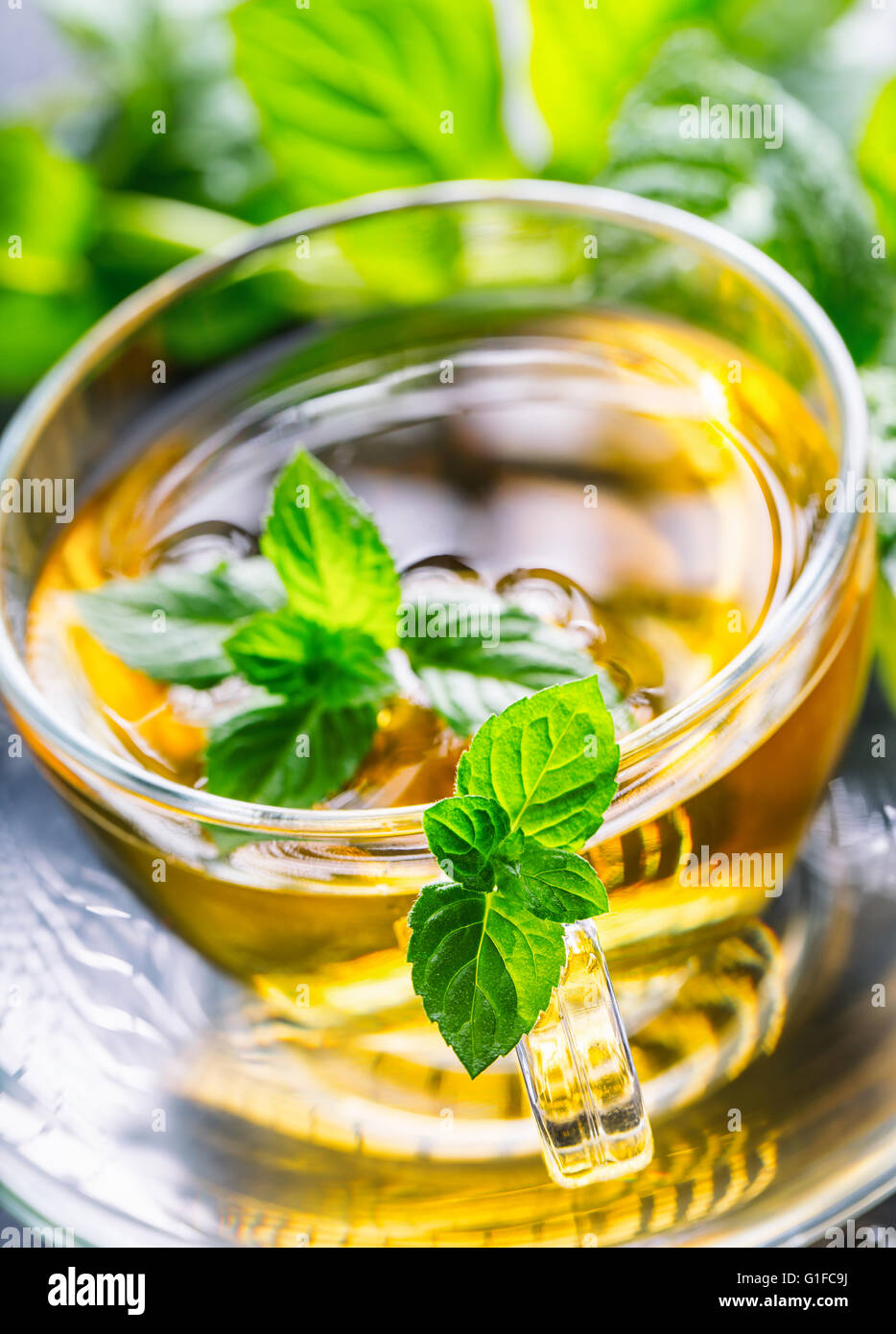 Tea. Mint Tea. Herbal tea. Mint leaf. Mint leaves. Tea in a glass cup ...