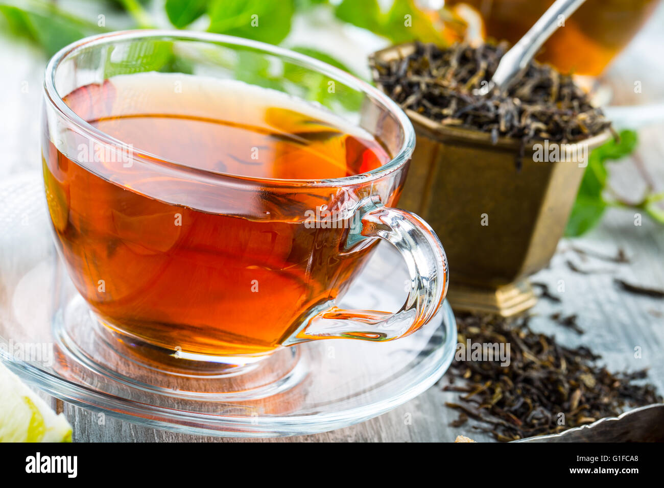Tea. Mint Tea. Herbal tea. Mint leaf. Mint leaves. Tea in a glass cup ...