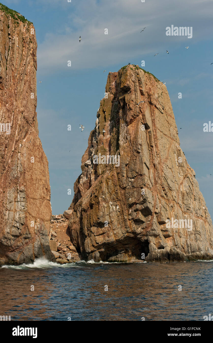 Birds in flight over the split rock Stock Photo - Alamy