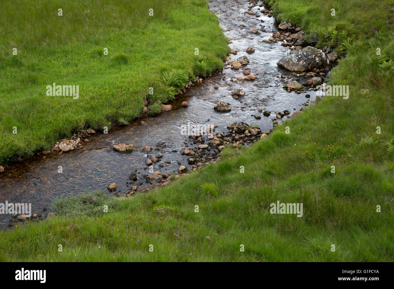 Dundreggan, scottish highlands hi-res stock photography and images - Alamy