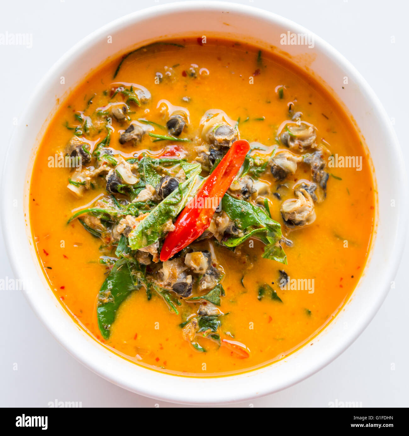 River snail hi-res stock photography and images - Alamy