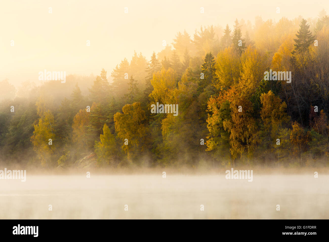 Peaceful early autumn morning in Sweden Stock Photo - Alamy