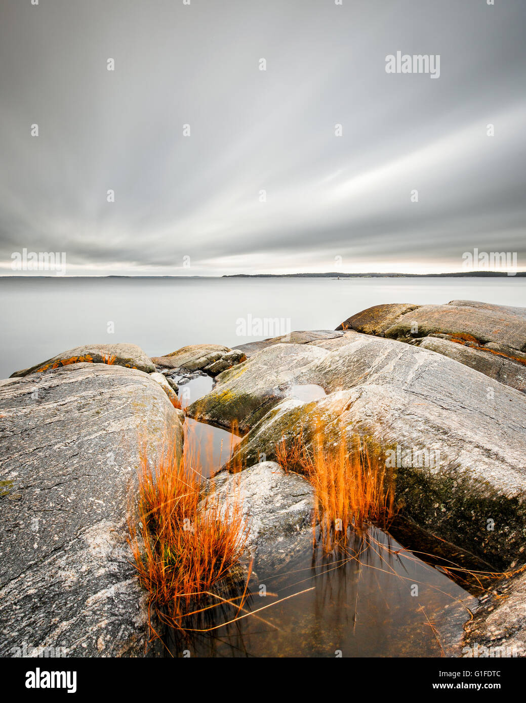 Swedish nature coastal landscape outside Stockholm Stock Photo - Alamy