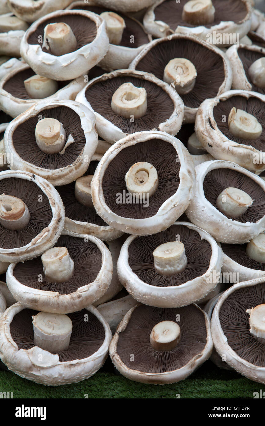 Portabella Mushroom Background on Market Background Stock Photo - Alamy