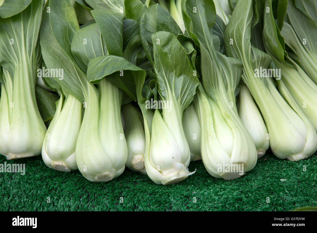 Pak choi cabbage hi-res stock photography and images - Alamy