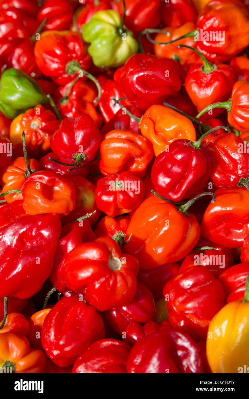 Red Peppers on Market Stall Stock Photo - Alamy