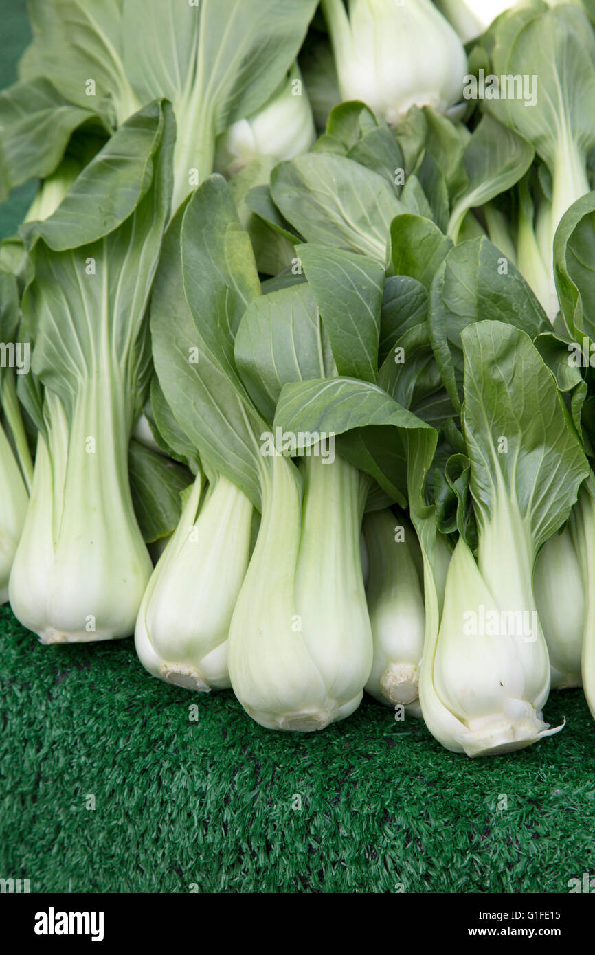 Green Pak Choi Cabbage Background Stock Photo - Alamy