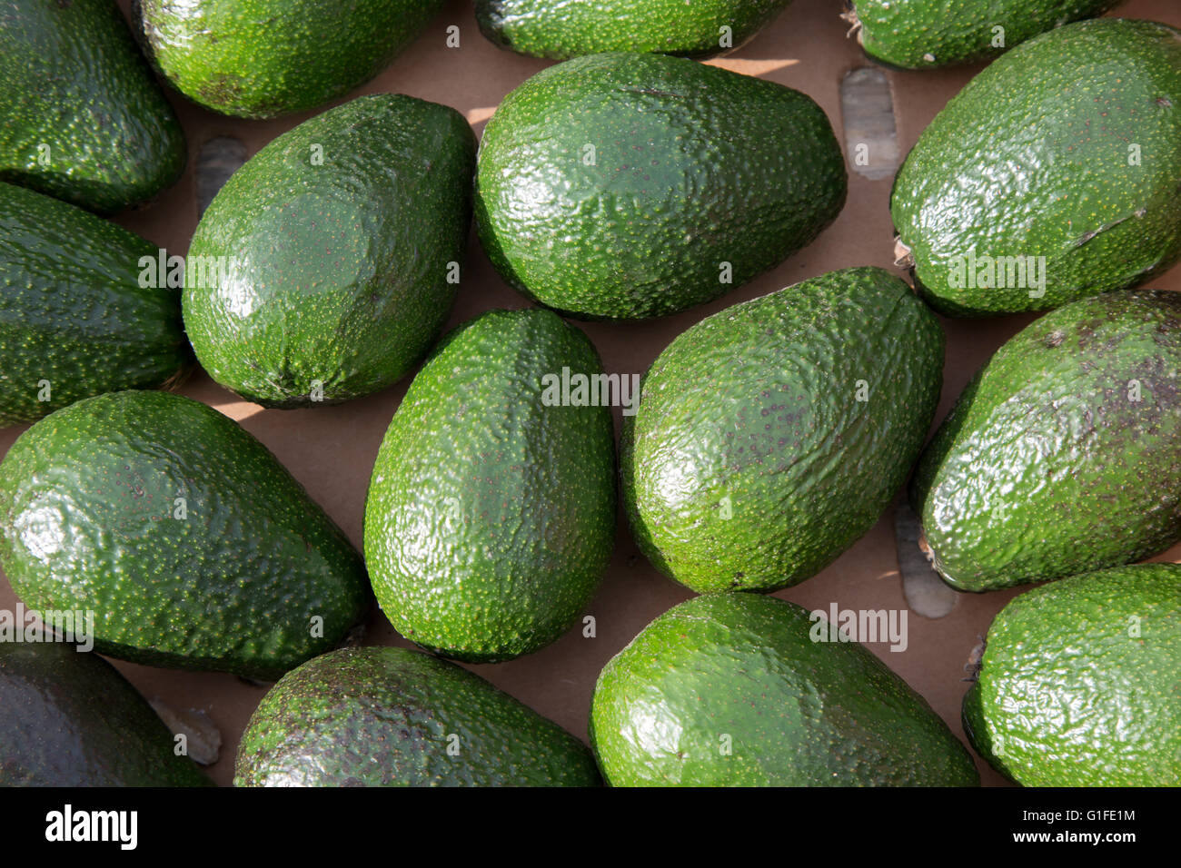 Green Avocado Background on Market Stall Stock Photo - Alamy
