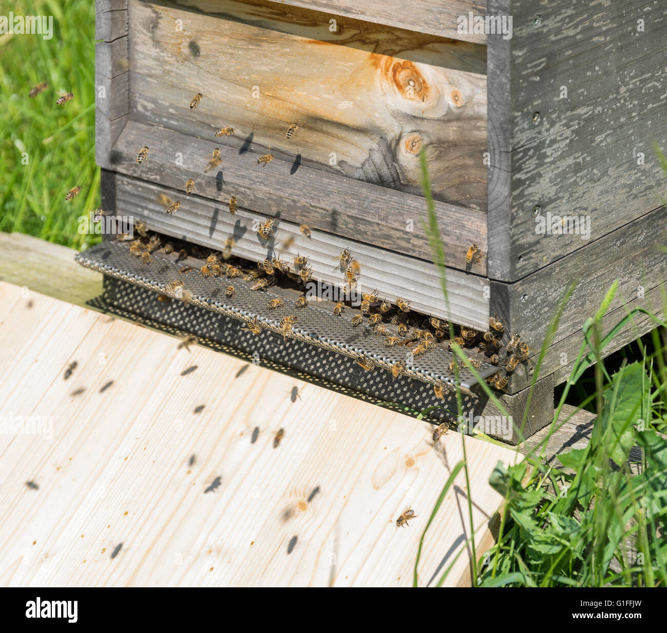 Beehouse hi-res stock photography and images - Alamy