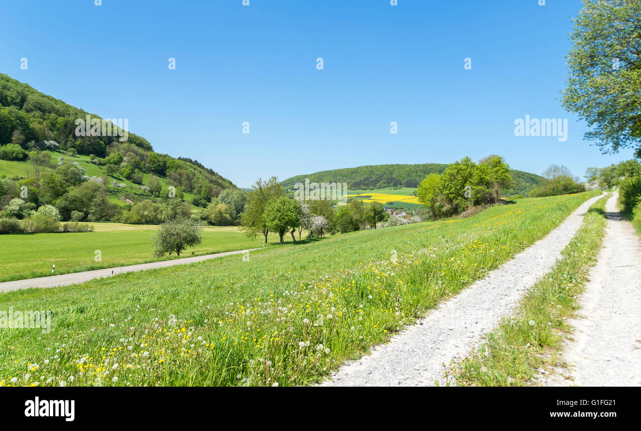 sunny illuminated idyllic field path at spring time in Hohenlohe, a ...