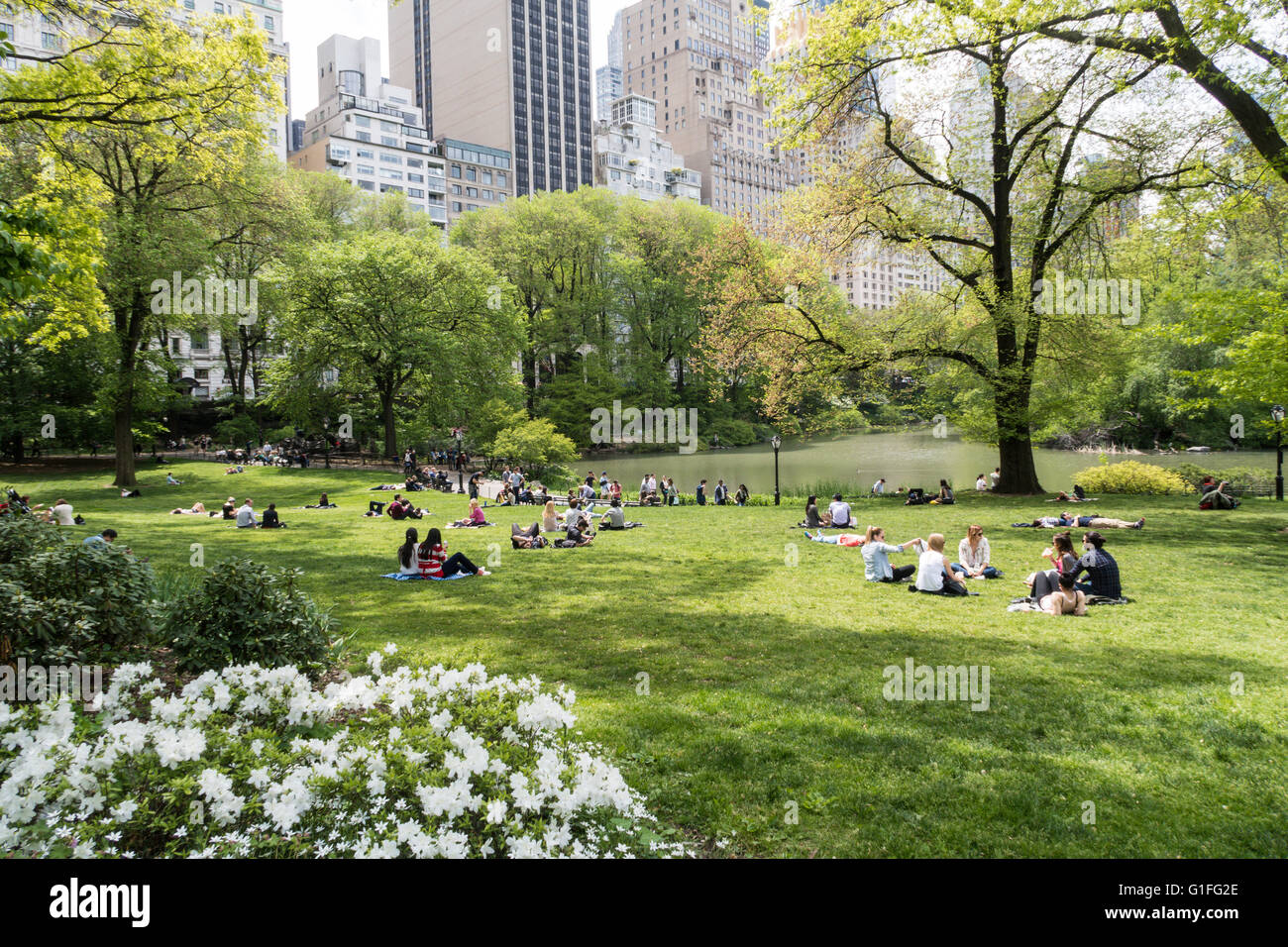 The Pond, Central Park, NYC, USA Stock Photo - Alamy
