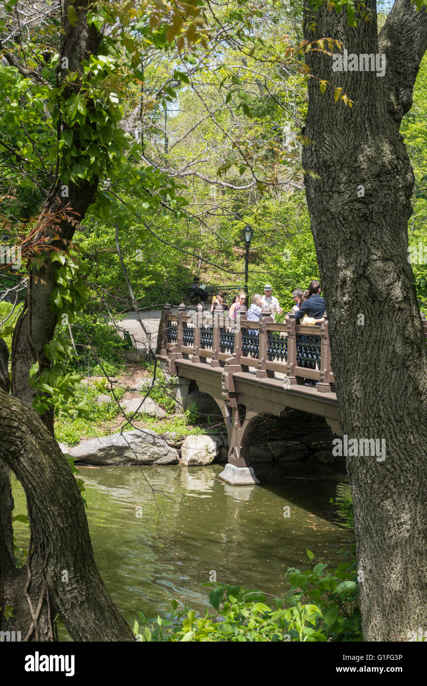 Oak Bridge at Bank Rock Bay, The Lake, Central Park, NYC Stock Photo ...