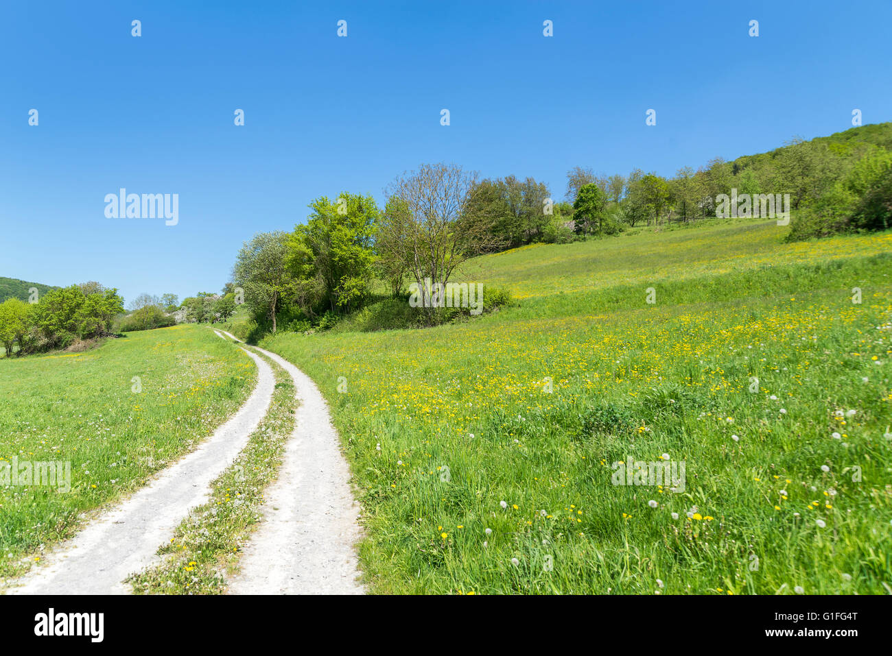 sunny illuminated idyllic field path at spring time in Hohenlohe, a ...