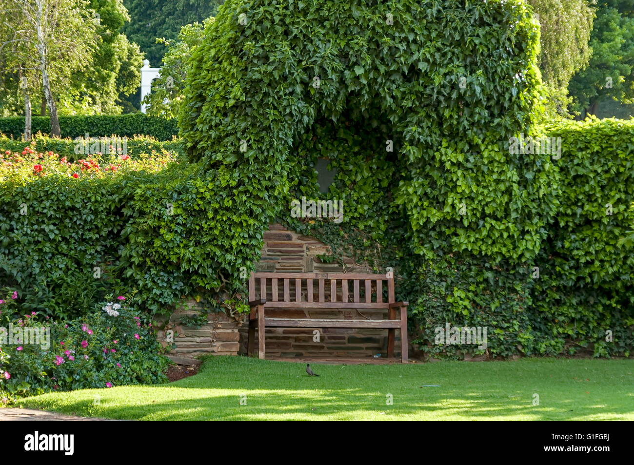 Romantic bench for repose in Emmarentia park, Johannesburg, South ...