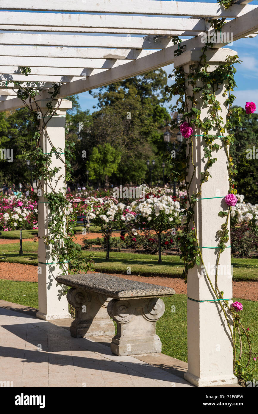 Bower, covered by climbing roses, Rose Garden, Rosedal, Parque Tres de ...