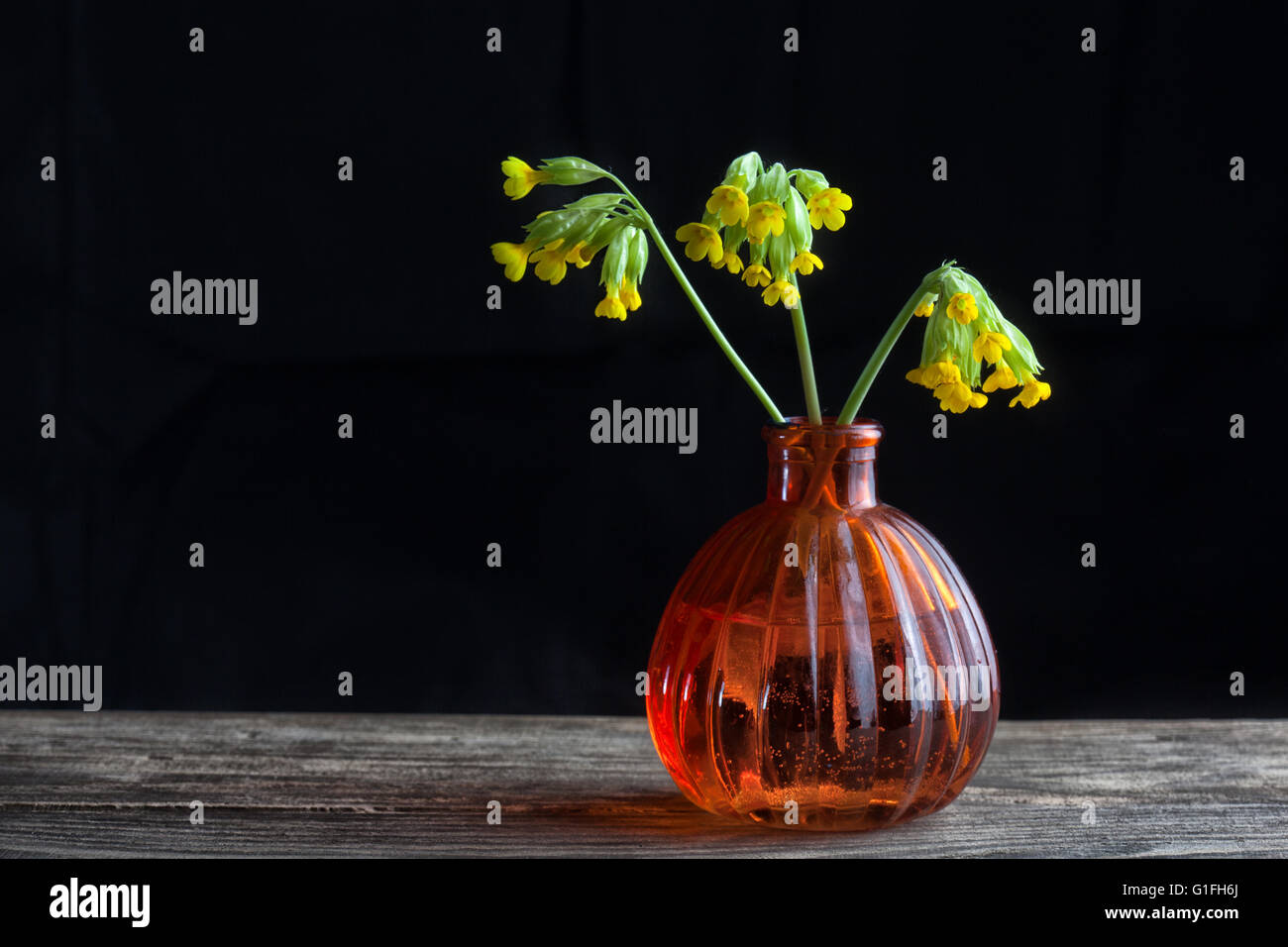 Still life with yellow flowers Stock Photo - Alamy