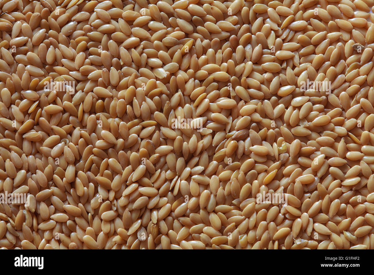 Golden flax seeds in hi-res stock photography and images - Alamy