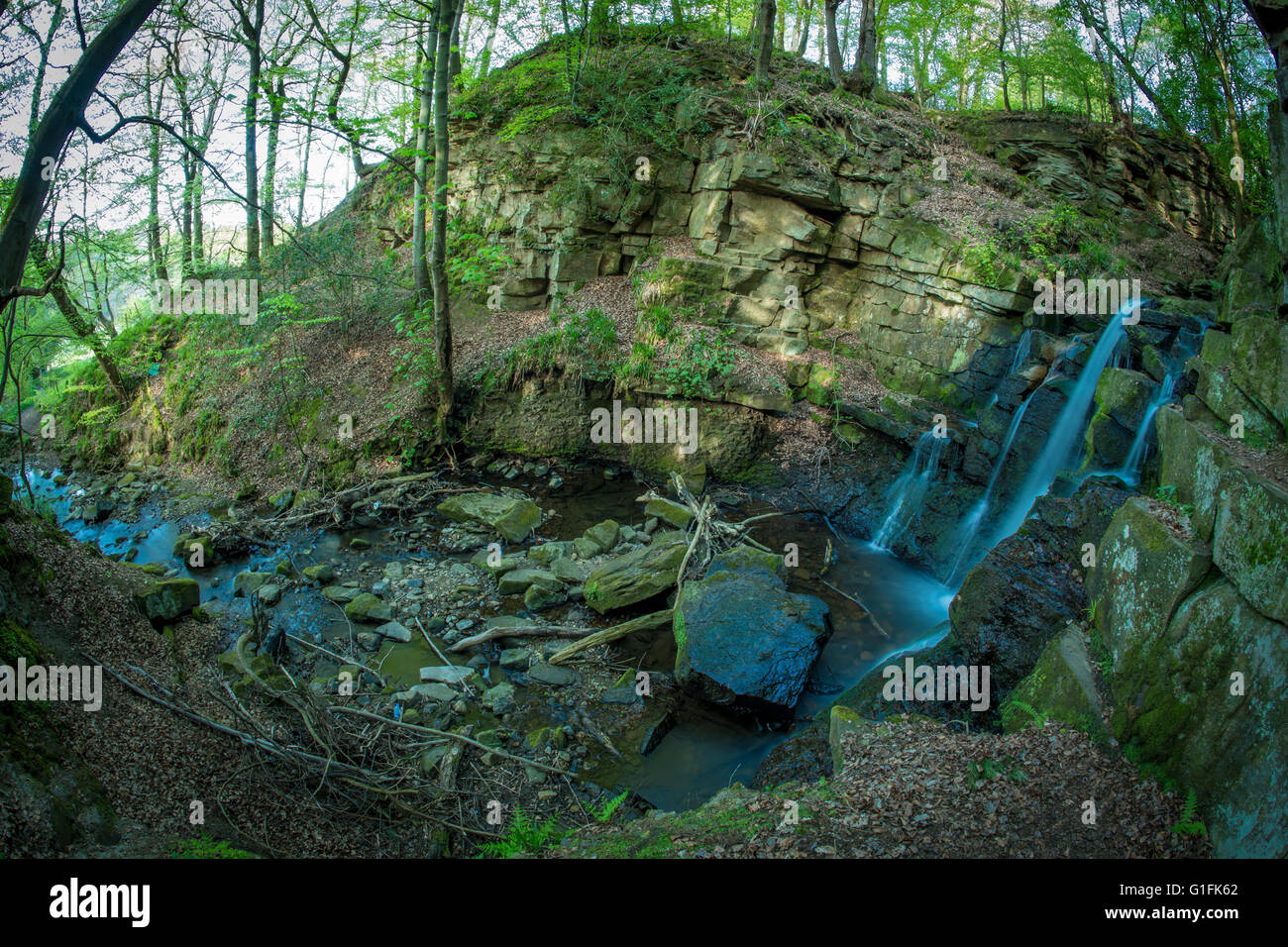 Small stream with waterfalls in the woods Stock Photo - Alamy