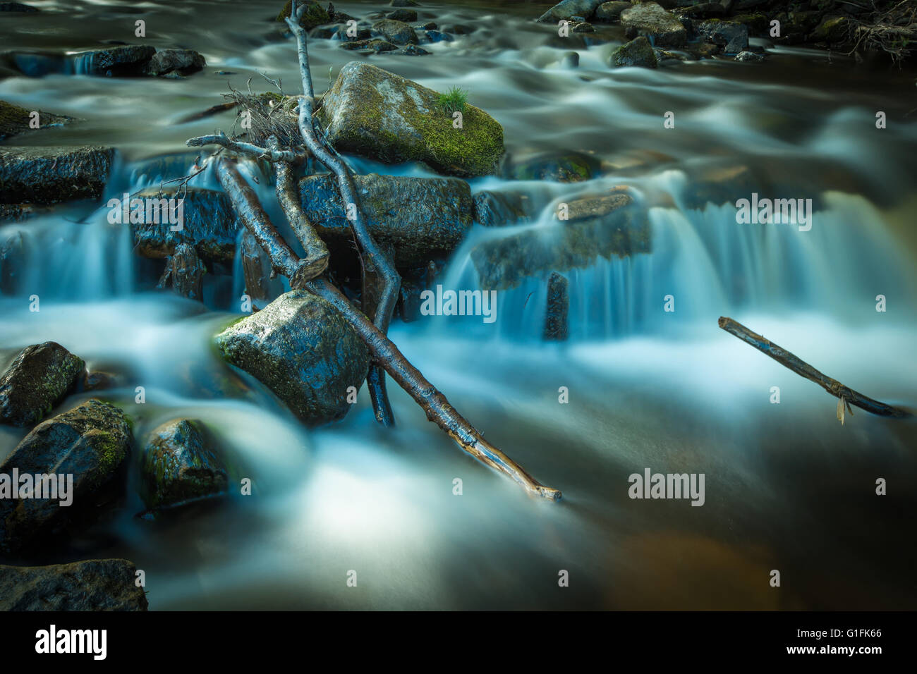 Small stream with waterfalls in the woods Stock Photo - Alamy
