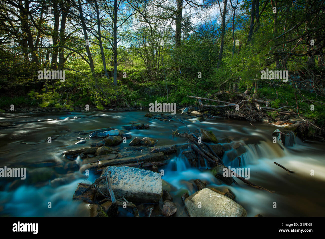 Waterfalls in the woods hi-res stock photography and images - Alamy